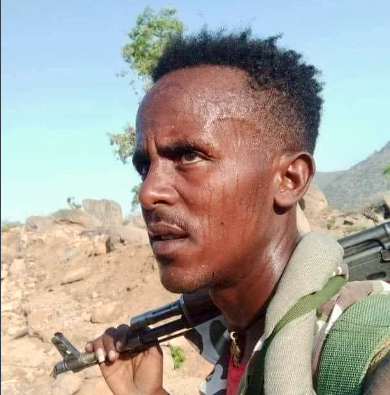 A look at Eritrea’s role as new Tigray war looms in Ethiopia – Martin Plaut
