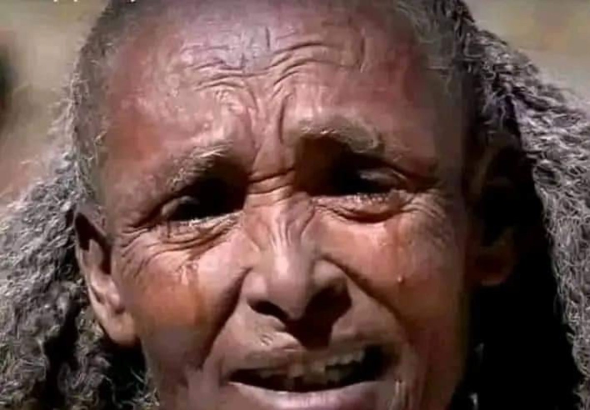Genocide in Tigray: Serious breaches of international law in the Tigray ...