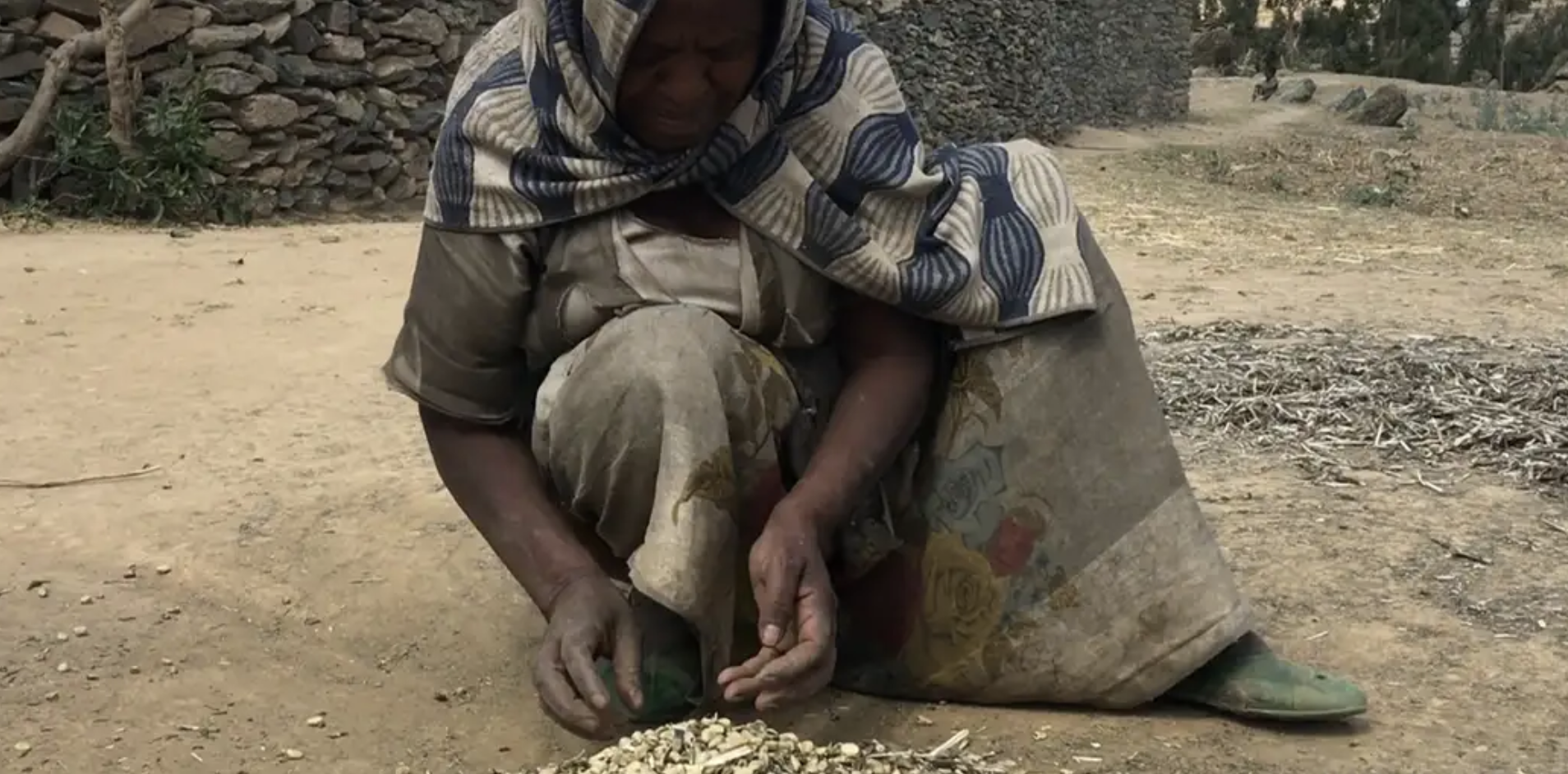 IRROB.ORG - A Site Dedicated To The Cause of Irob People