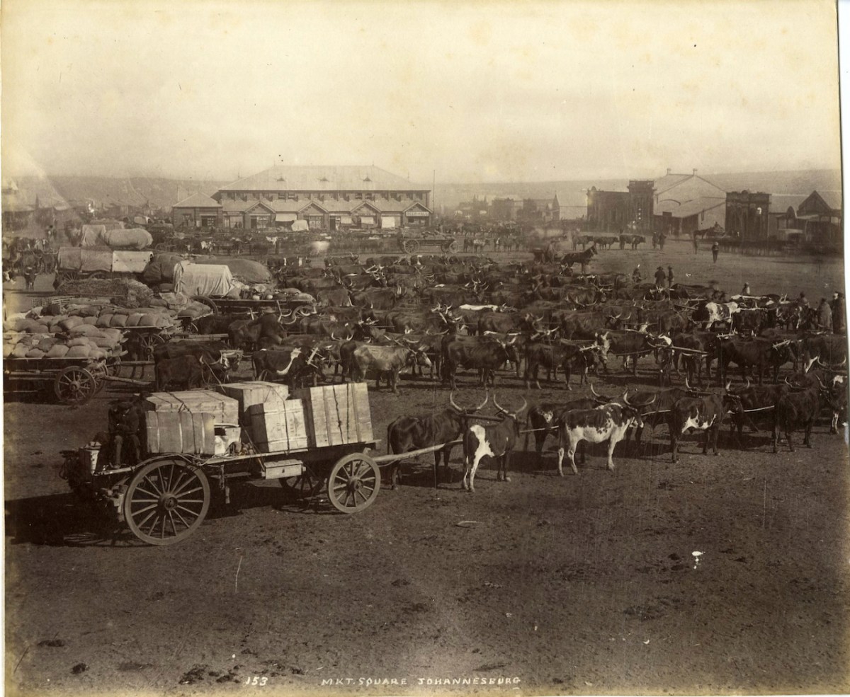 How the ox waggon shaped South Africa’s urban landscape – Martin Plaut