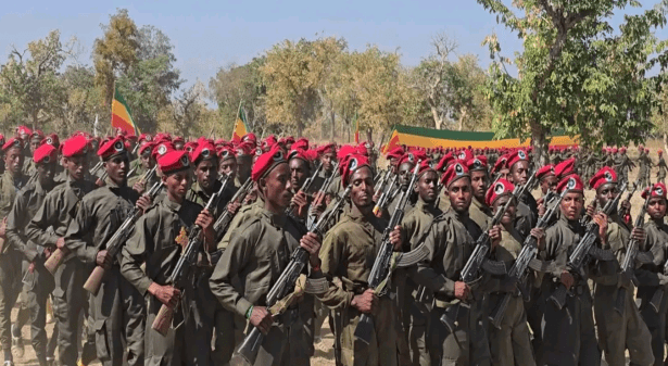 Ethiopia: Fano is emerging as a key actor and an alternative force in ...