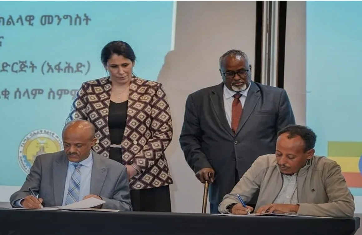 The credibility of AU and IGAD is in question for backing Ethiopia’s ...